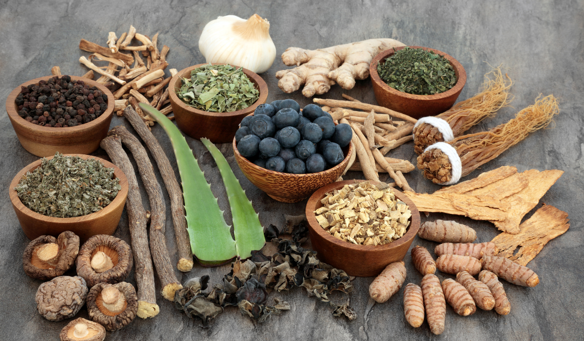 Adaptogeny - rodzaje i właściwości - ohmydaily.pl